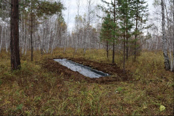 Зэрлэг амьтан шувуудад зориулан хөв цөөрөм байгуулжээ